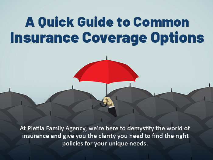 A Quick Guide to Common Insurance Coverage Options [infographic ...